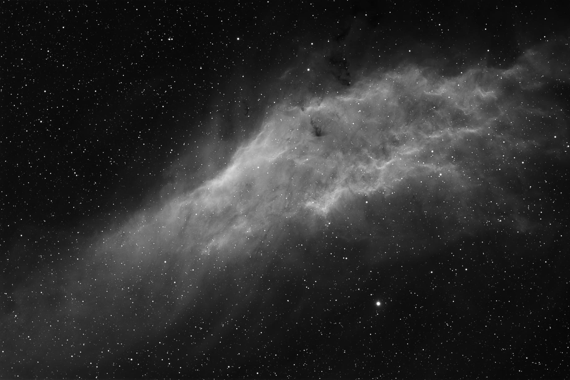 NGC 1499 - Skies By Africa